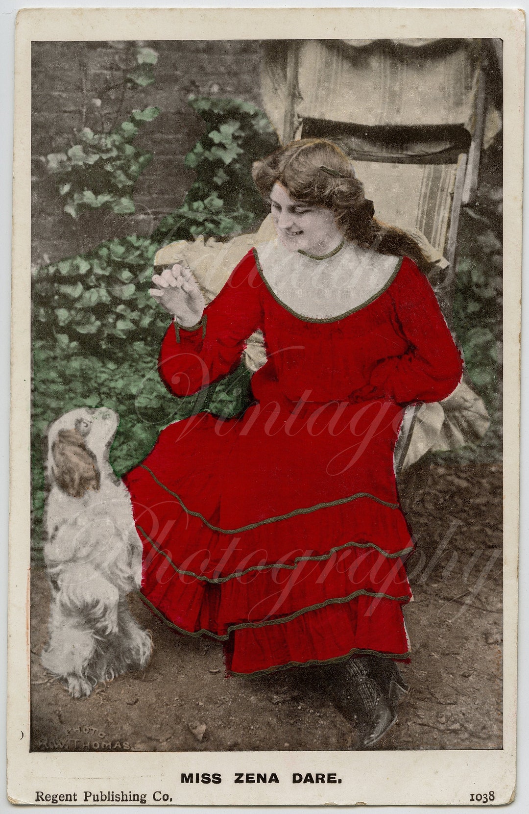 Zena Dare With Dog, Edwardian Actress, Singer Hand Tinted Antique Postcard Posted 1906 Regent ...