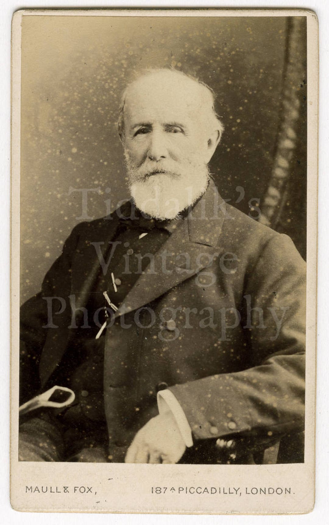 CDV Photo Victorian White Bearded Old Man Portrait by Maull & Fox of ...