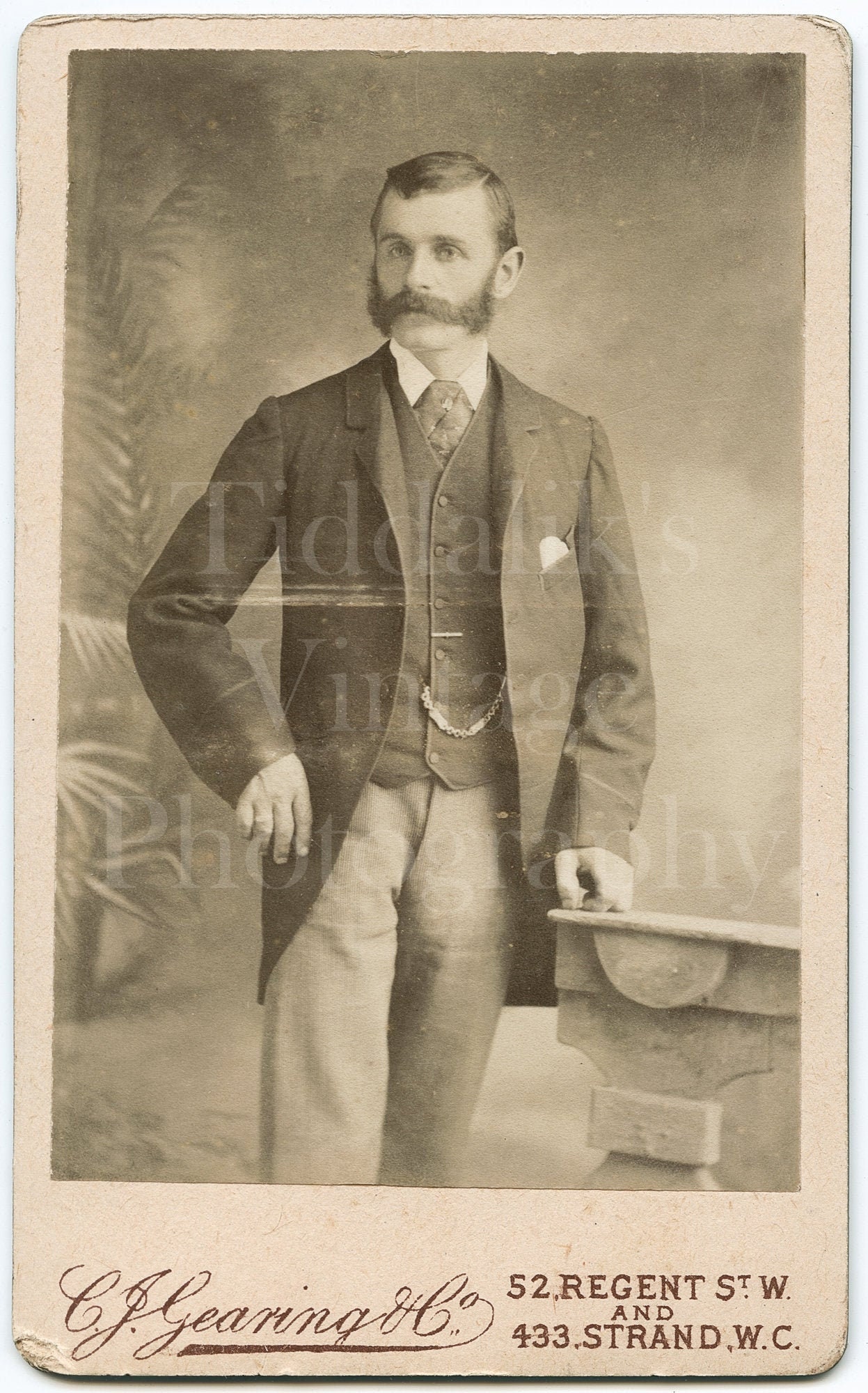 Mutton Chops Victorian