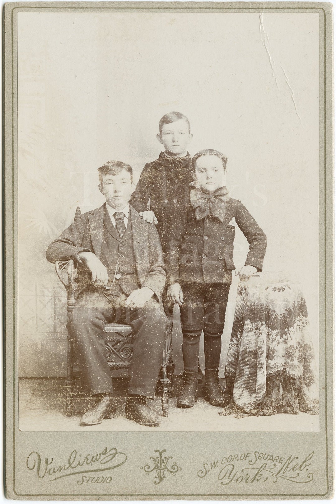 Victorian Children, 3 Brothers, Huge Bow, Group Portrait Cabinet Card ...