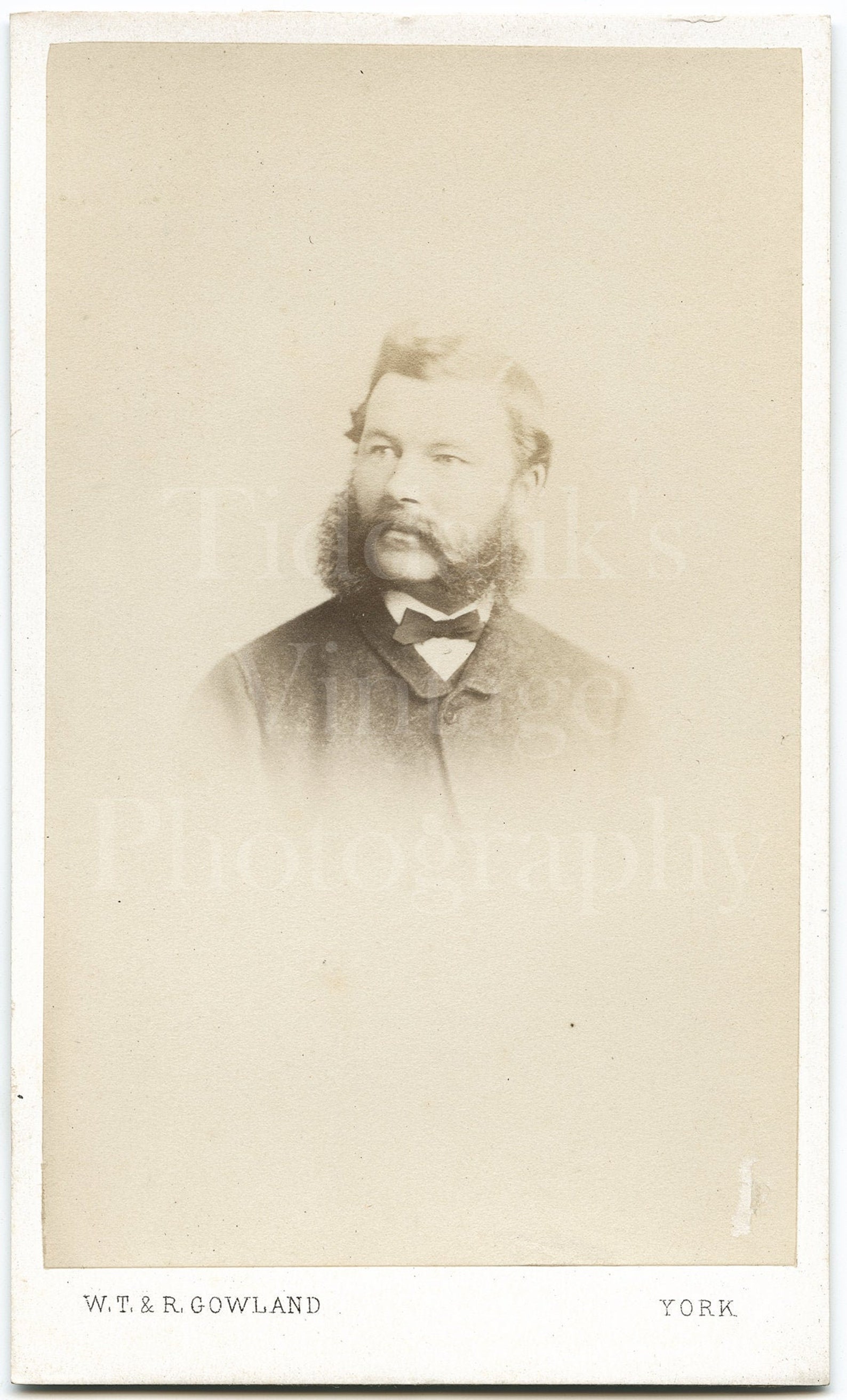 Victorian Young Man Mutton Chops Vignette Portrait CDV - Etsy
