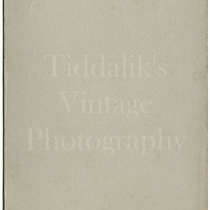 Victorian Children, 3 Brothers, Huge Bow, Group Portrait Cabinet Card ...