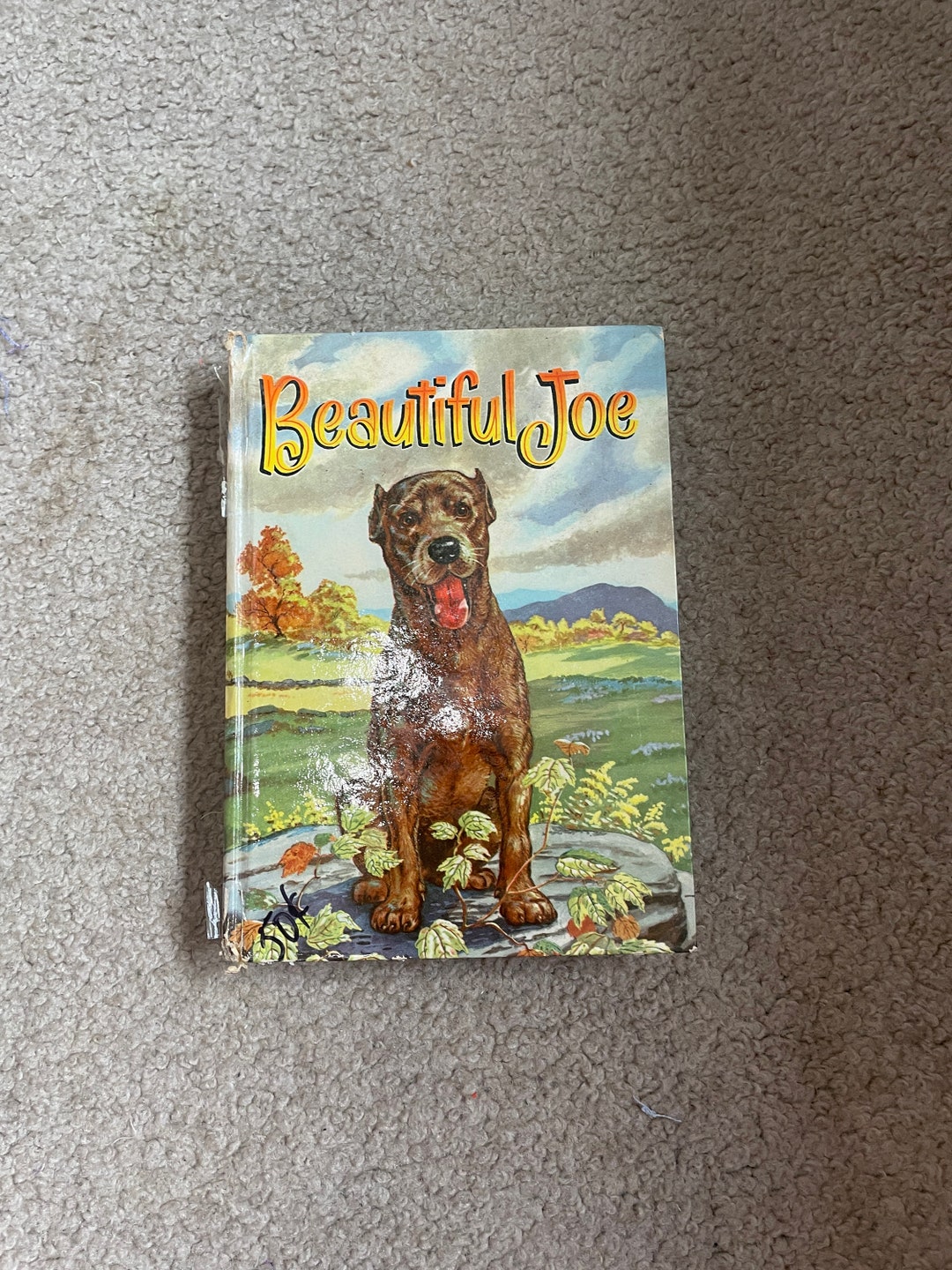 Vintage Book, Beautiful Joe by Marshall Saunders, 1955 - Etsy