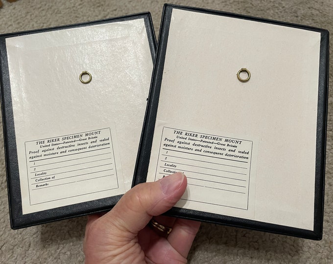 Riker Specimen Mount Frames, Set of Two - Etsy