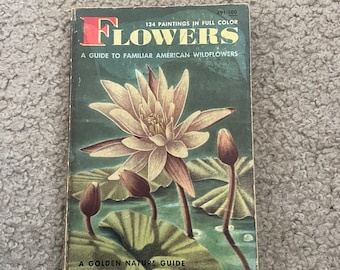 Golden Guide Flowers - Etsy