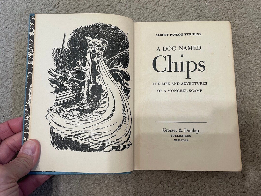 A Dog Named Chips, Albert Payson Terhune, 1931 - Etsy