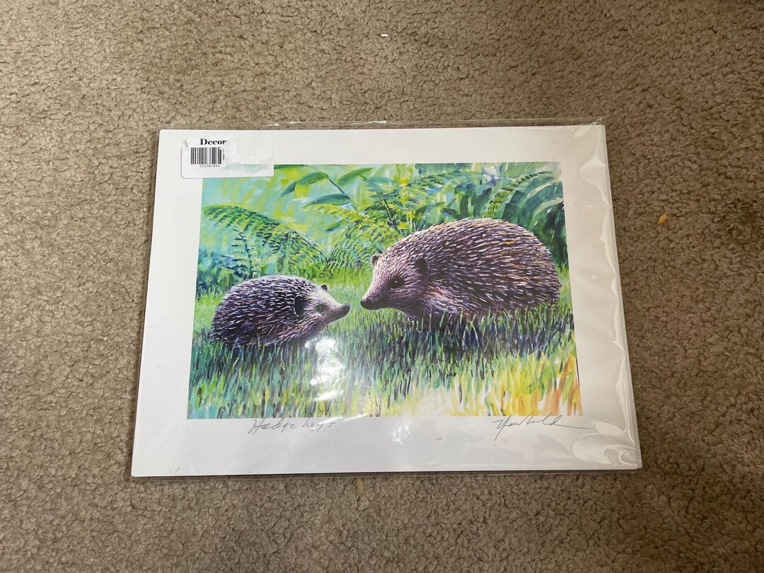 Art by Ed Newbold, Hedgehogs - Etsy