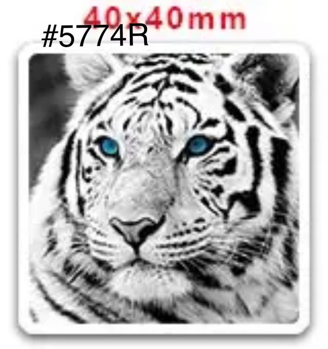 3 or 5 Pc Animal Black and White Tiger Planar Resin Flat Back Cabochon ...