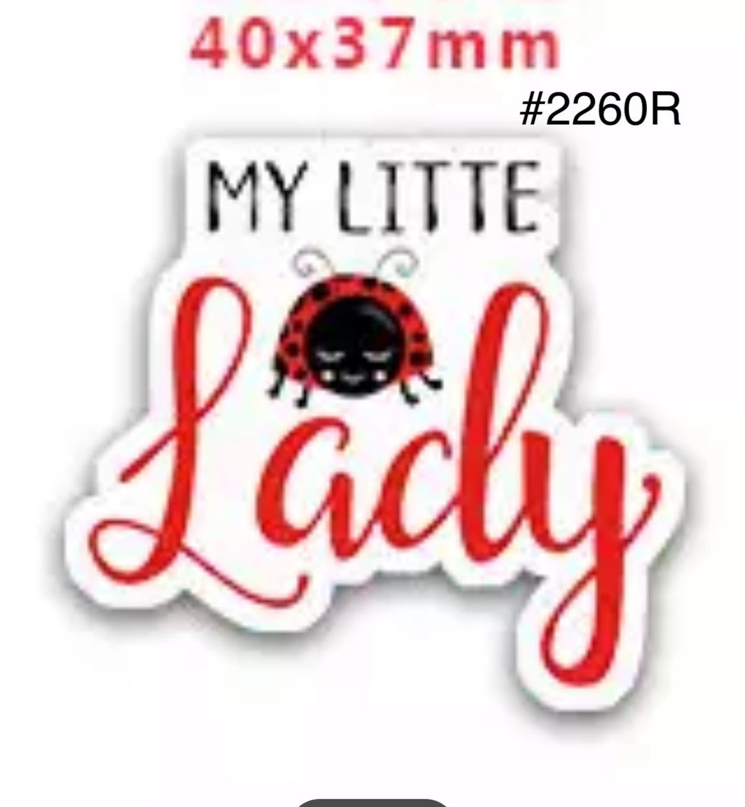 3 or 5 Pc - Cute Insect My Lady Bug Planar Resin Flat Back Cabochon ...
