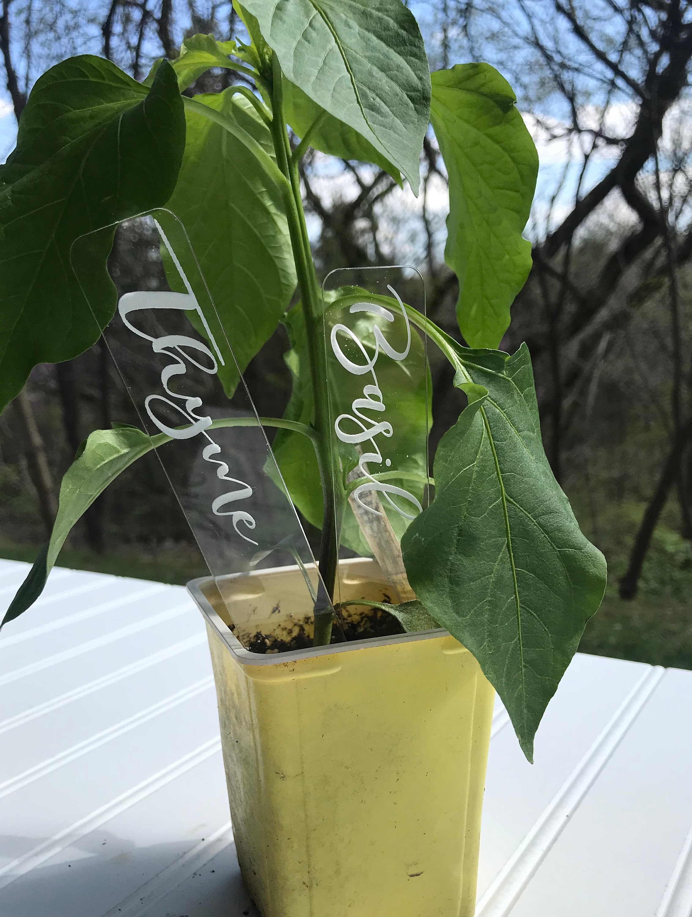 Custom Personalized Acrylic Garden Marker, Garden Stake, Plant Label ...