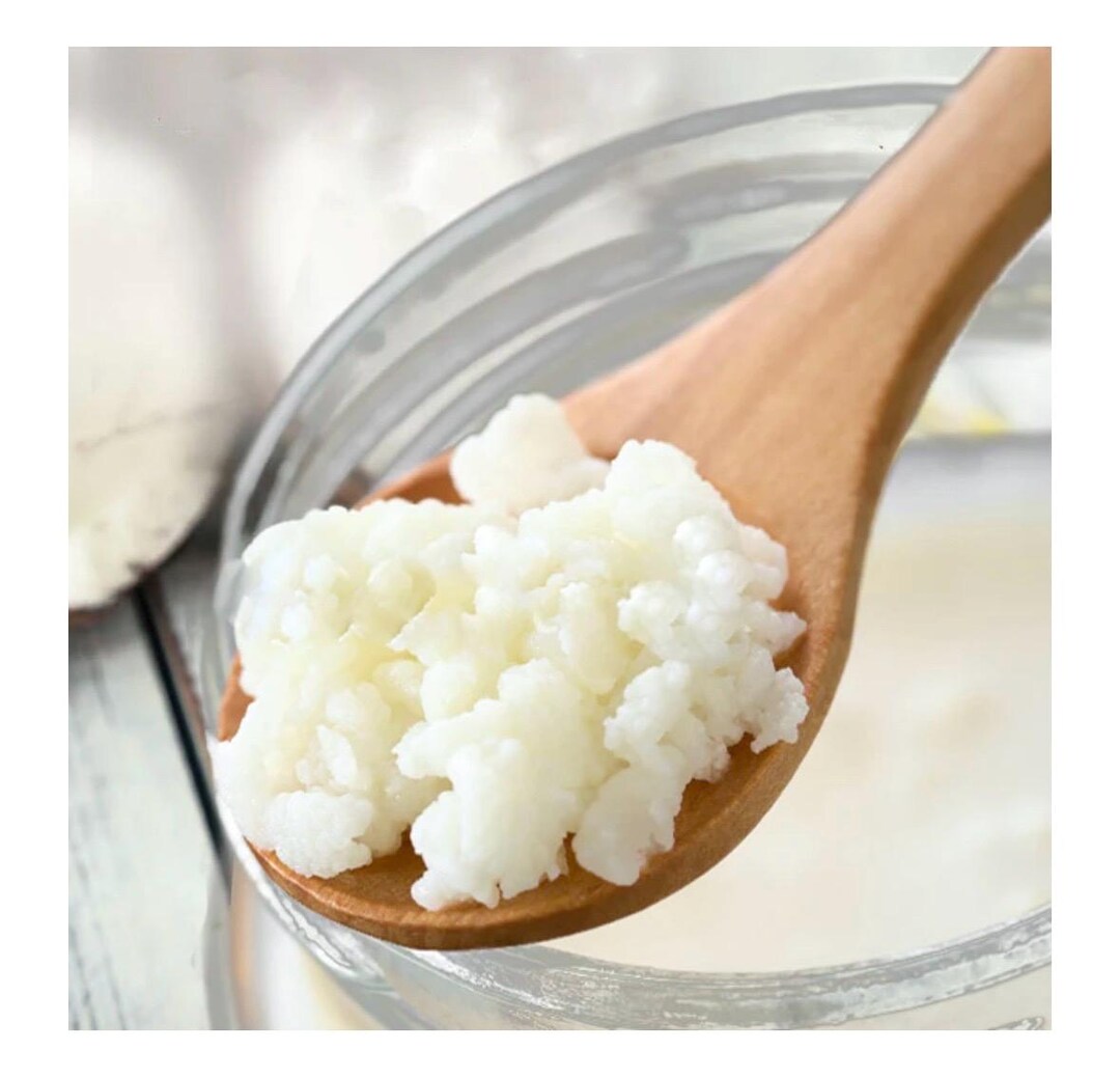 Live Organic Milk Kefir Grains-healthy Grains Ready to Make Kefir ...