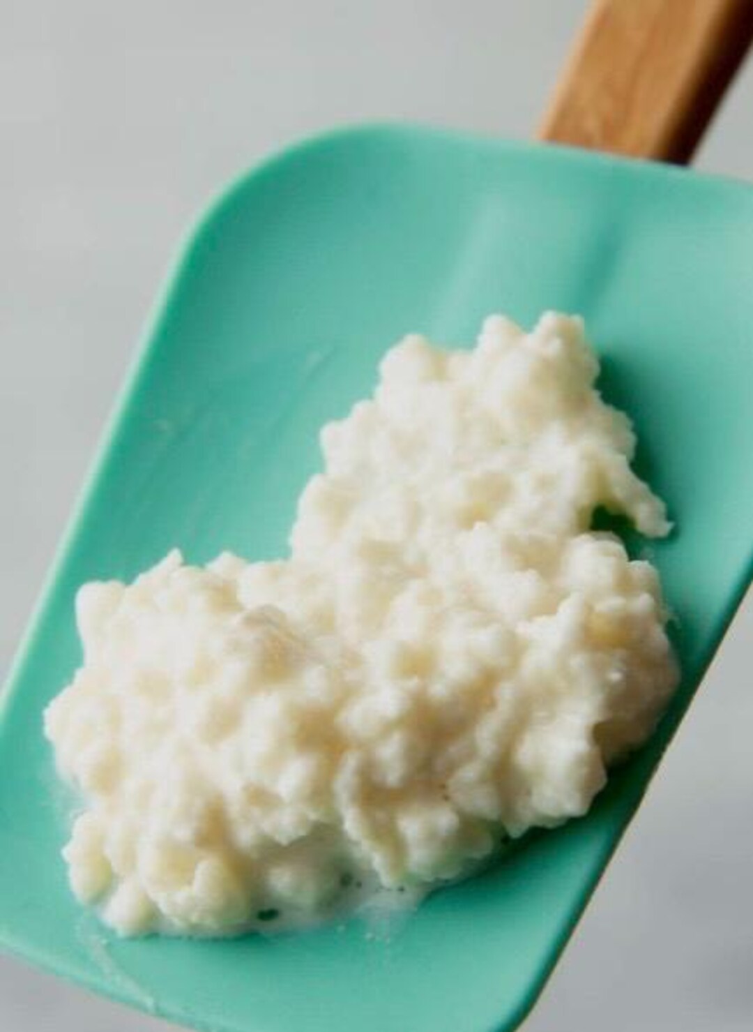 Live Organic Milk Kefir Grains-healthy Grains Ready to Make Kefir ...