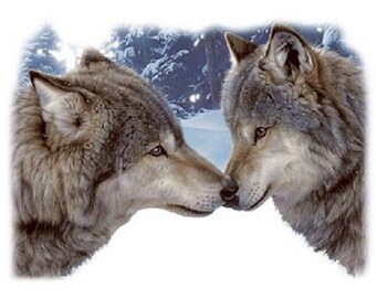 Train T Shirt Pigeon Peak Locomotive Steam Engine - Etsy