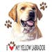 Yellow Lab T Shirt, I Love My Yellow Labrador, (sweatshirt, Hoodie ...