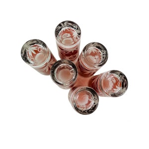 Vintage Dominion Glass Set Ruby Red Flash Atomic Pinwheel 70's Rare MCM ...