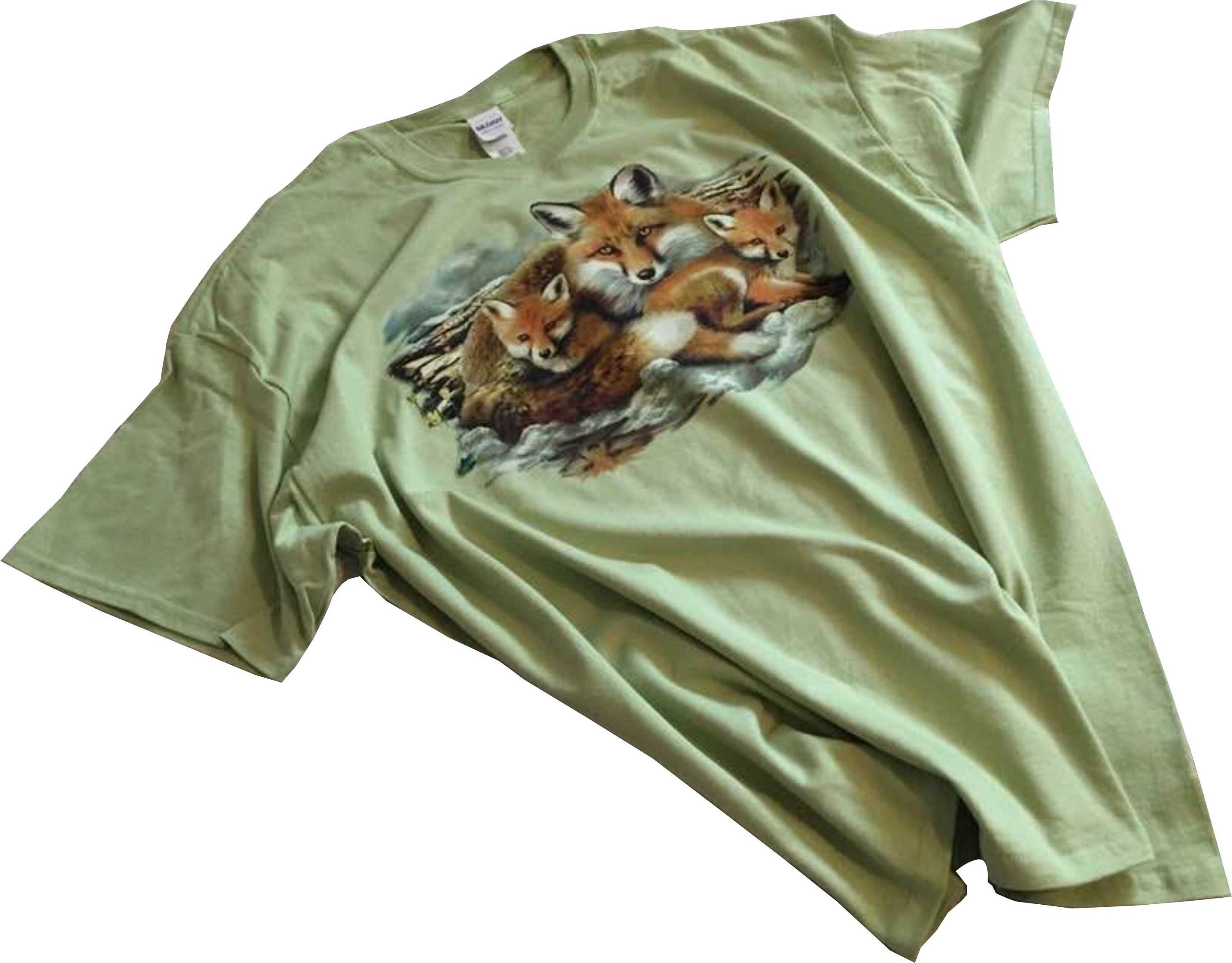Fox T Shirt, Red Fox Family, (sweatshirt, Hoodie Available on Request ...