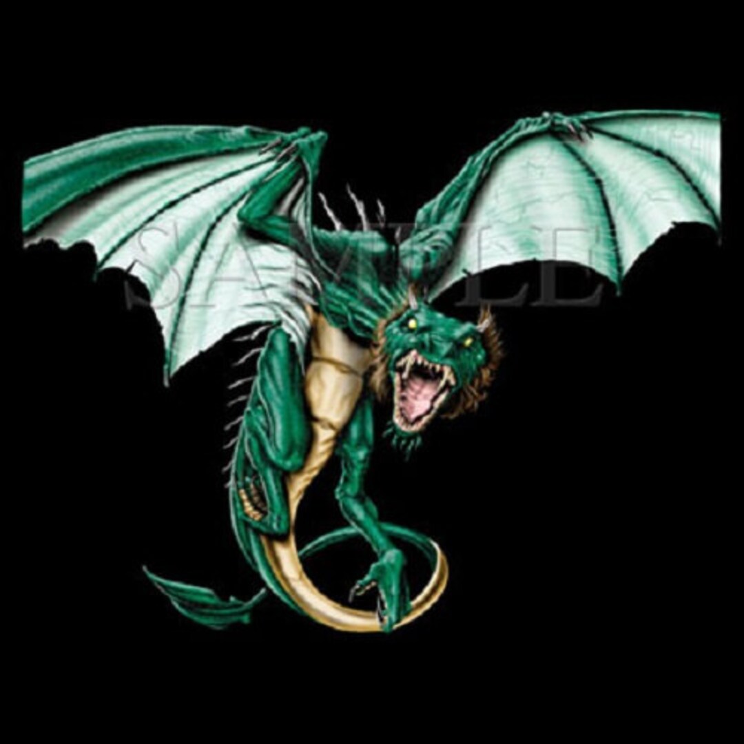 Flying Green Dragon T Shirt sweatshirt, Hoodie Available on Request ...