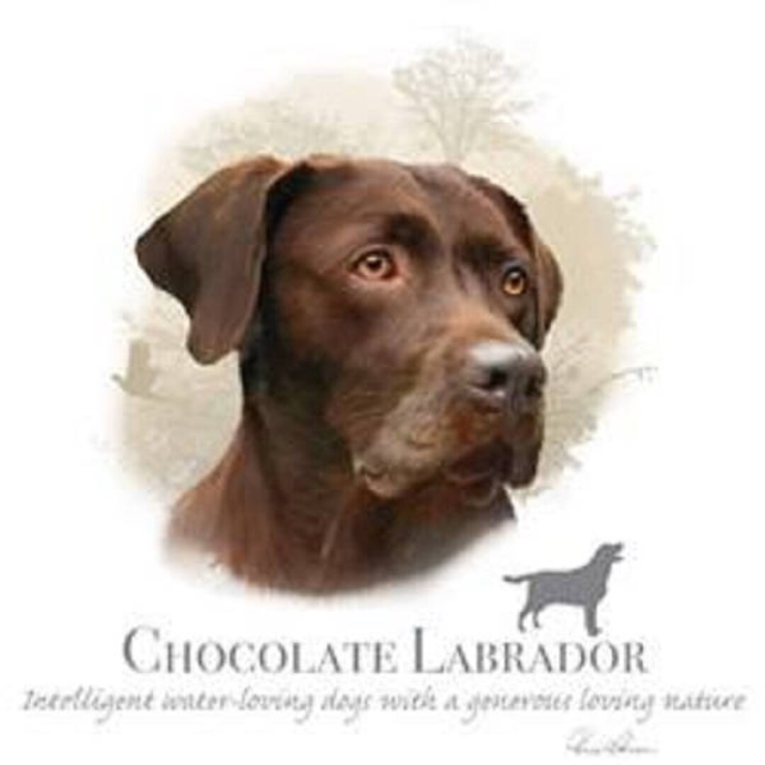 Chocolate Lab Dog T Shirt, Chocolate Labrador, Tote Bag, Apron ...