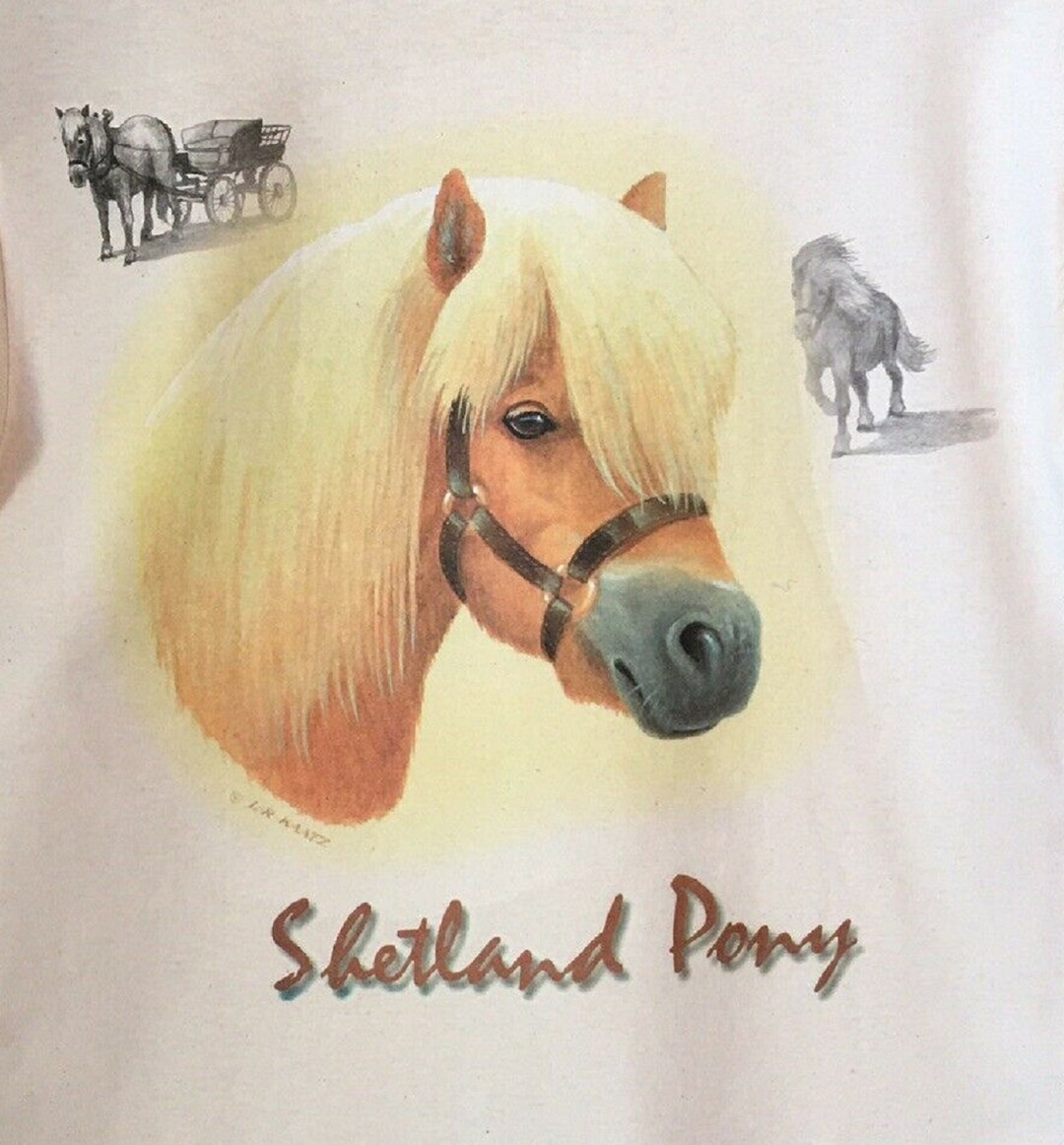 Shetland Pony T Shirt, sweatshirt, Hoodie Available on Request 241g - Etsy