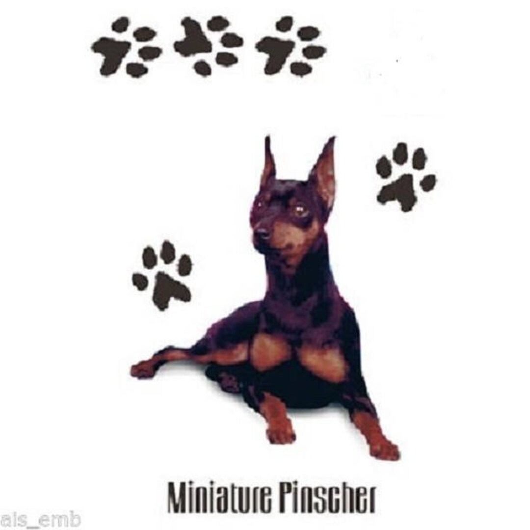 Miniature Pinscher Dog T Shirt, Min Pin, Sweatshirt & Hoodie Available ...