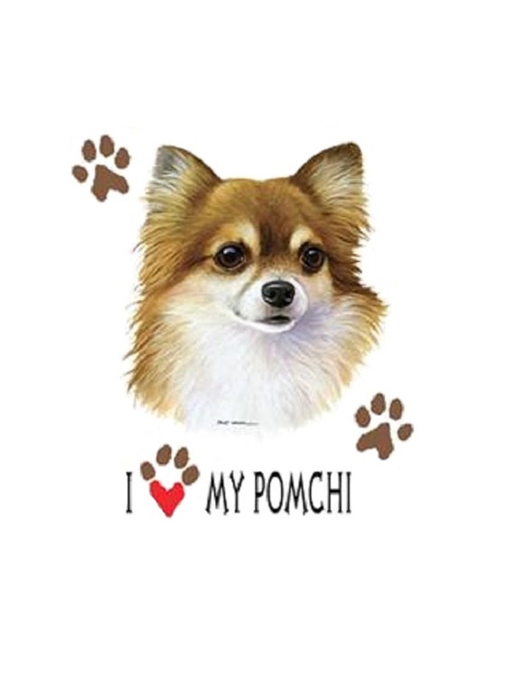Pomchi