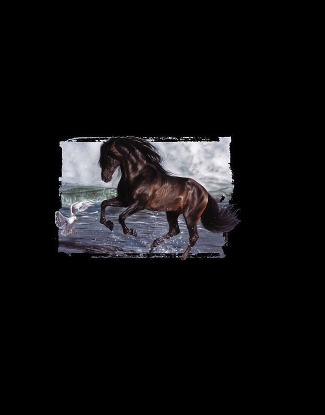 Horse T Shirt, Beachcomber Wild & Free Black Horse, sweatshirt, Hoodie ...