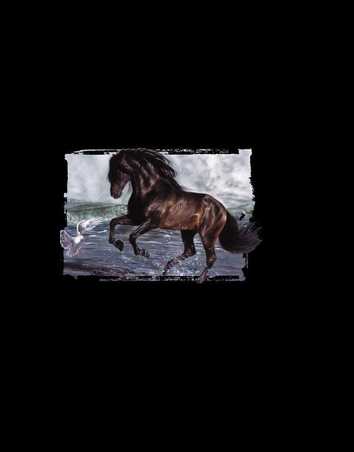 Horse T Shirt, Beachcomber Wild & Free Black Horse, (sweatshirt, Hoodie ...