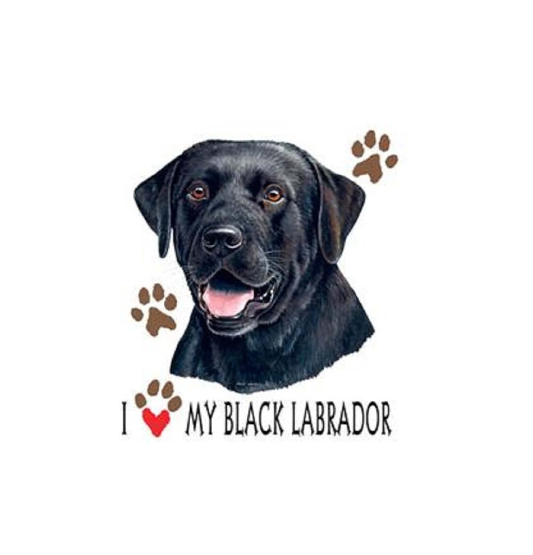 Black Lab T Shirt, I Love My Black Labrador, sweatshirt, Hoodie ...