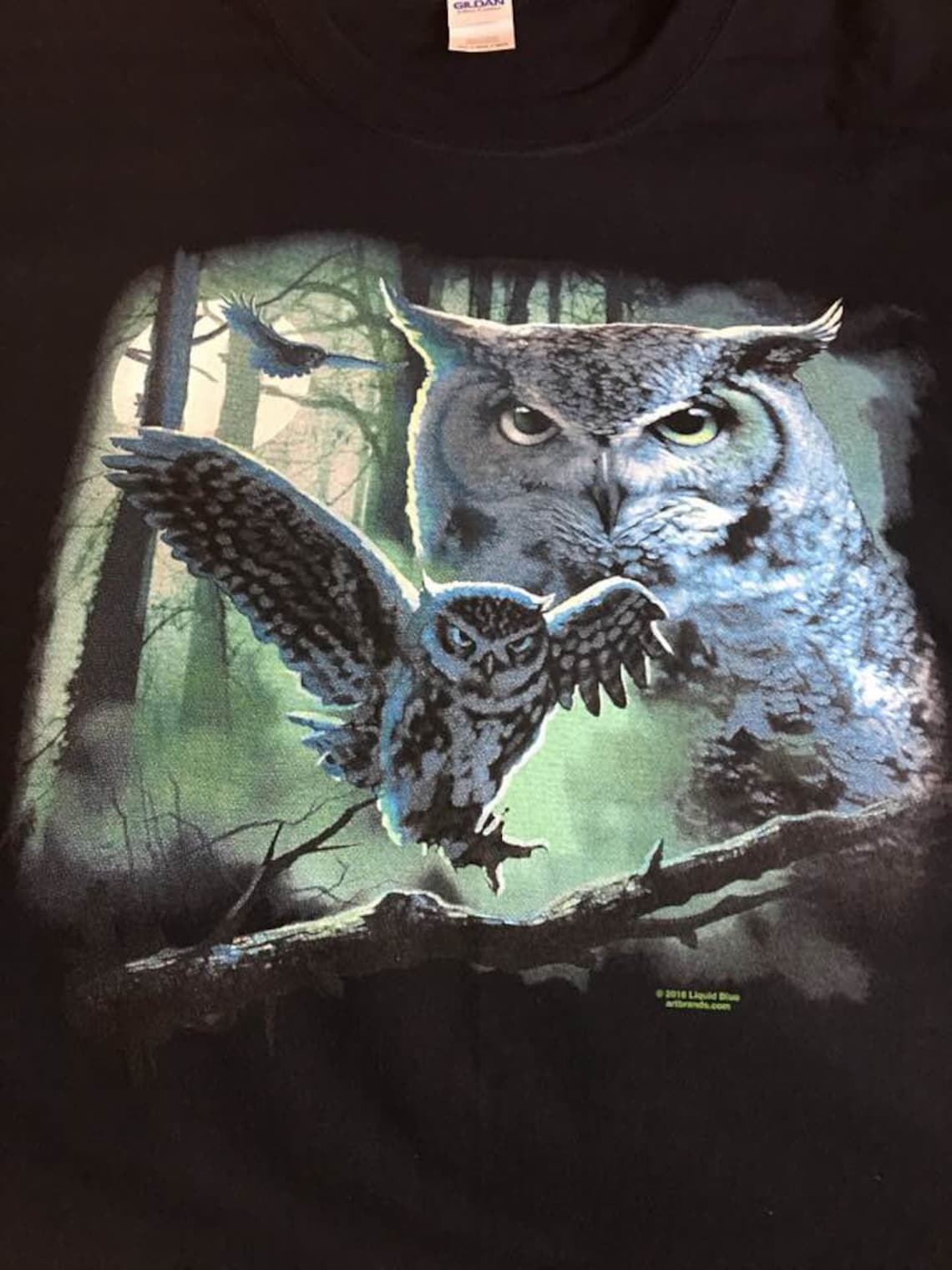 Owl T Shirt, Moonlit Night, (sweatshirt, Hoodie Available on Request ...