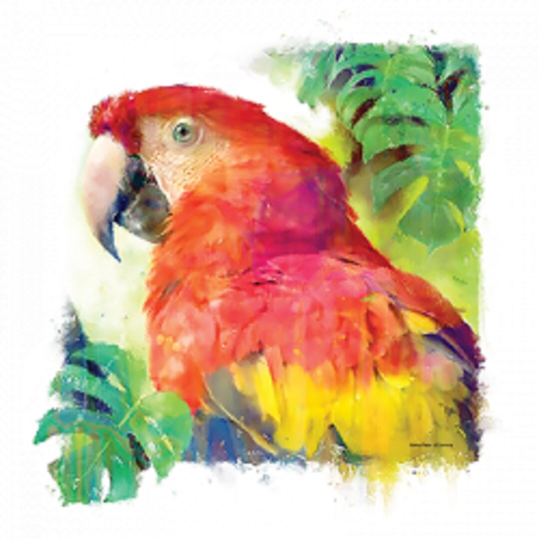 Scarlet Macaw Parrot Bird T Shirt, Parrot Profile (sweatshirt, Hoodie ...