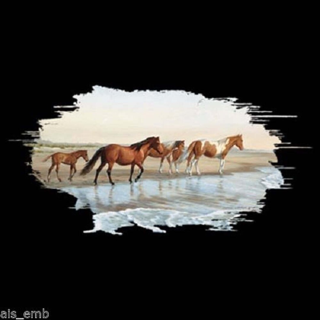 Chincoteague Pony Horse T Shirt, sweatshirt, Hoodie Available on ...
