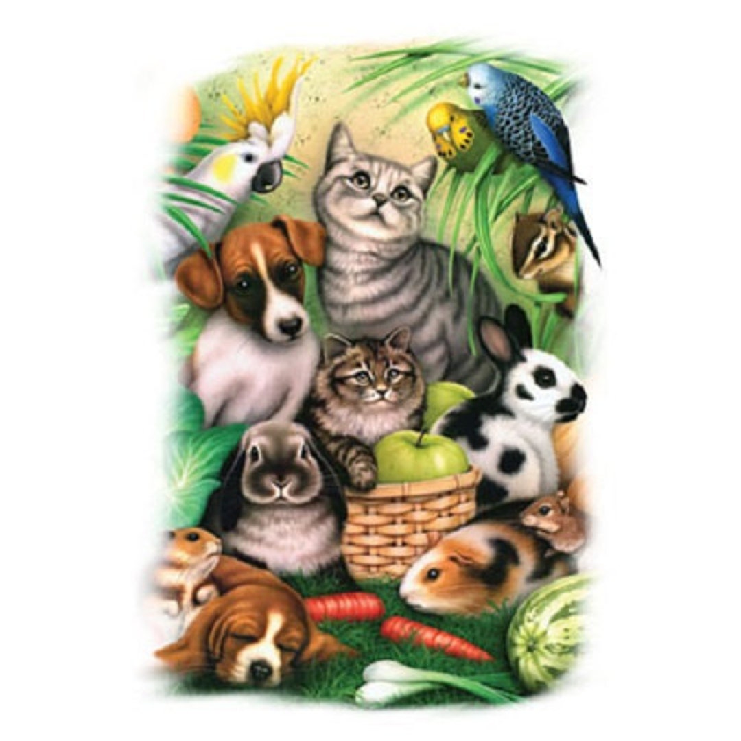 Animal T Shirt, Pet Party, sweatshirt, Hoodie Available on Request 999a ...