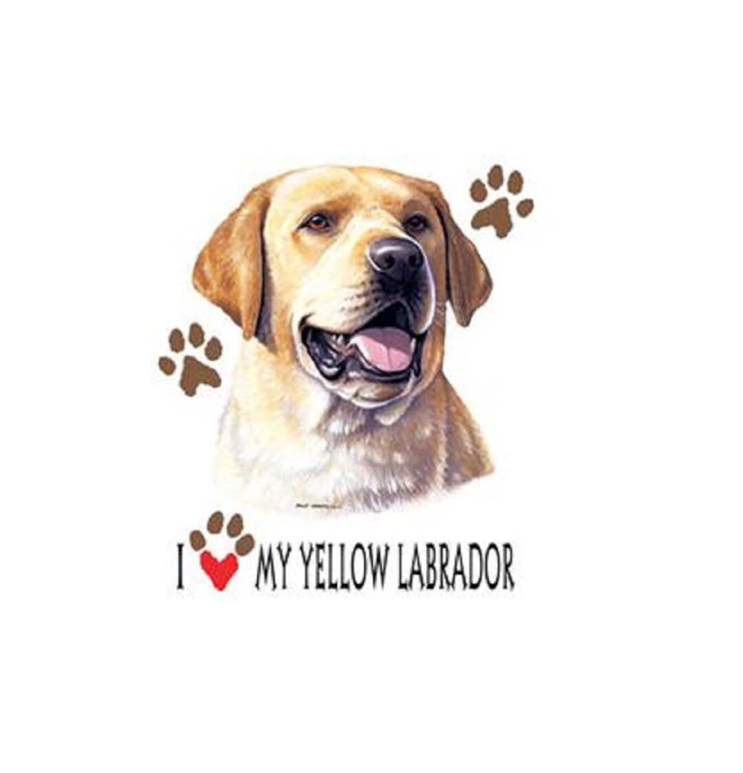 Yellow Lab T Shirt, I Love My Yellow Labrador, sweatshirt, Hoodie ...