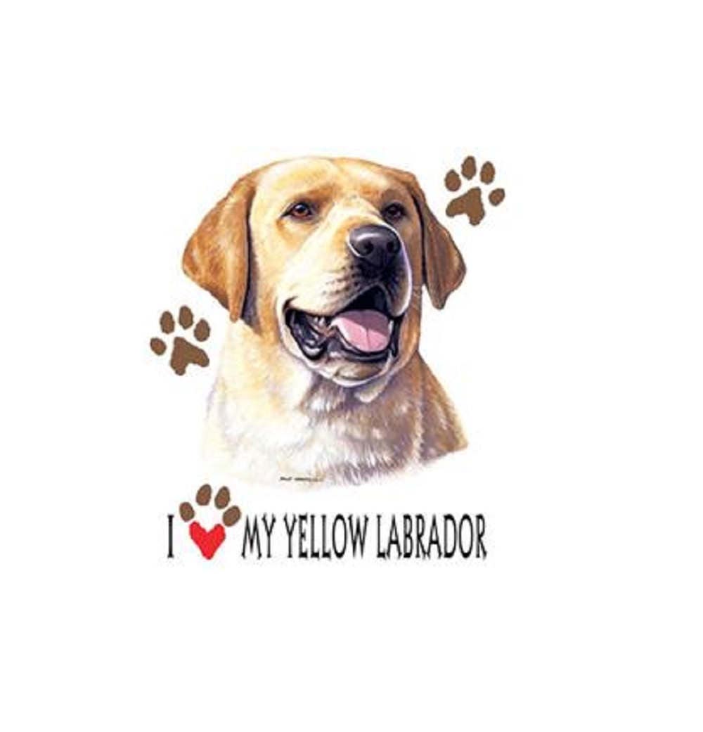 Yellow Lab T Shirt, I Love My Yellow Labrador, (sweatshirt, Hoodie ...