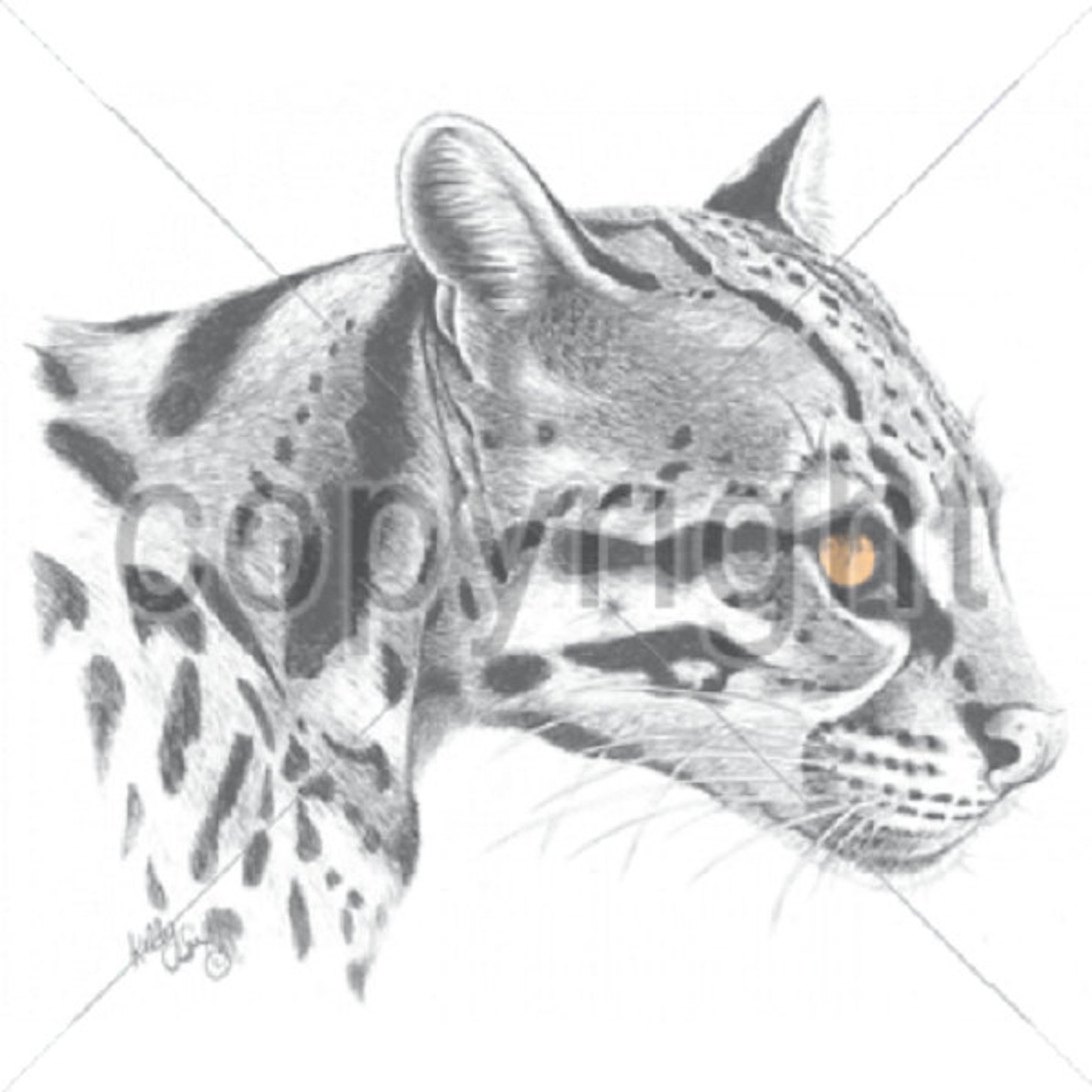 Ocelot Shirt, Golden Eye Ocelot Portrait, (sweatshirt, Hoodie Available ...