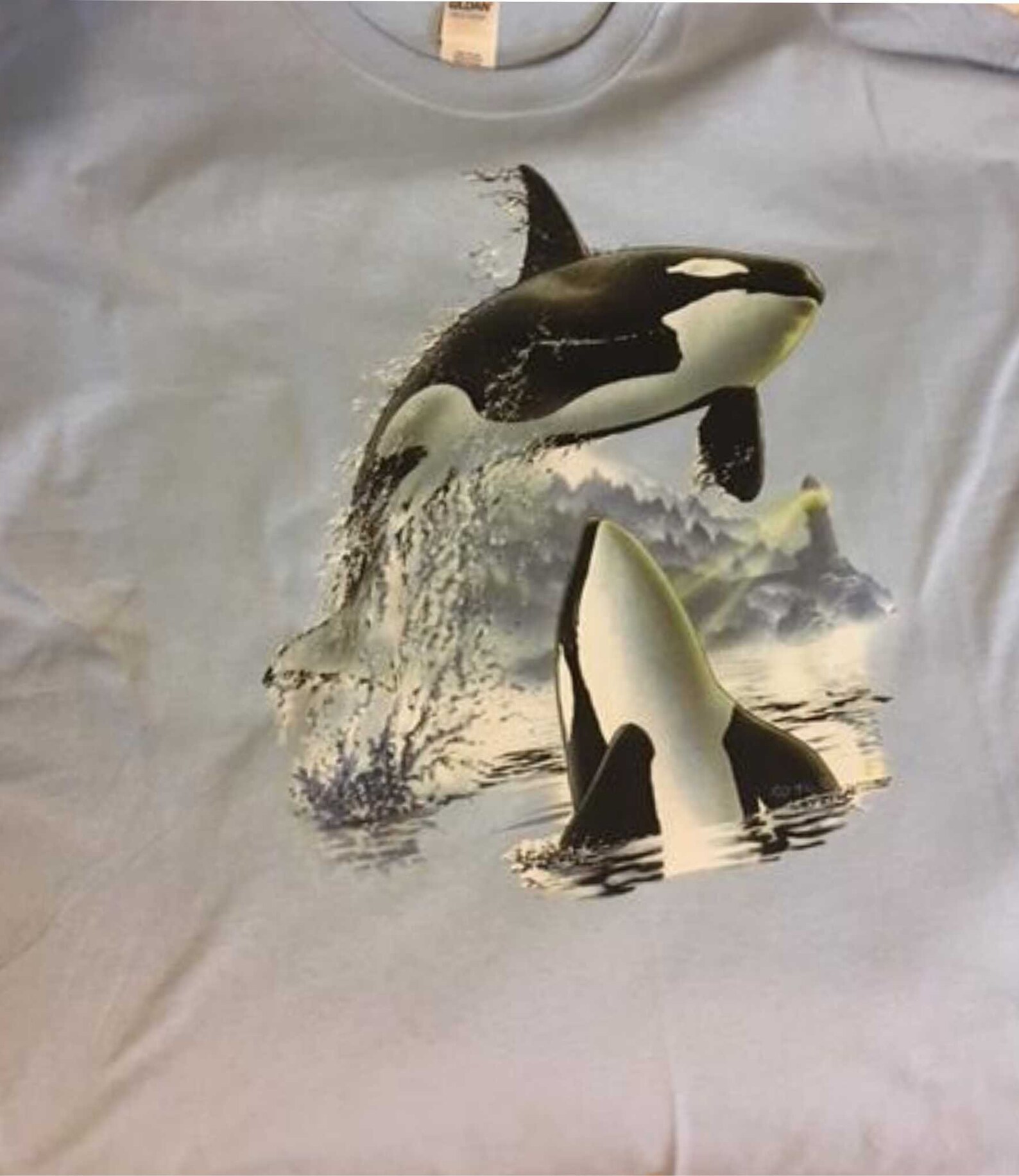 Orca Whale T Shirt sweatshirt Hoodie Available on Request - Etsy Canada
