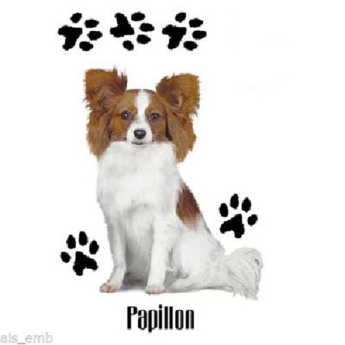 Papillon Dog T Shirt, (sweatshirt, Hoodie Available on Request) #890c ...
