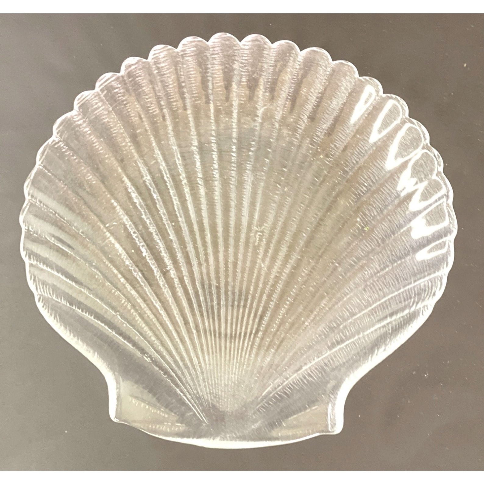 Clam Shell Seashell Shaped Clear Plates 8" X 7.75" X 1" Set of 2 - Etsy
