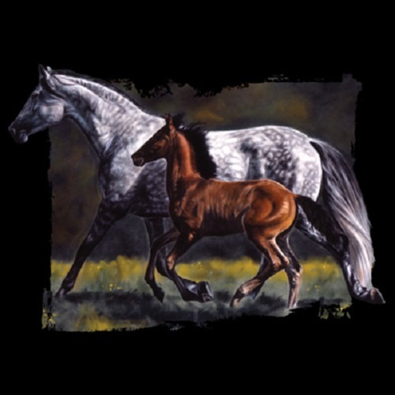 Horse T Shirt, Dapple Gray Mare & Bay Foal (sweatshirt, Hoodie ...