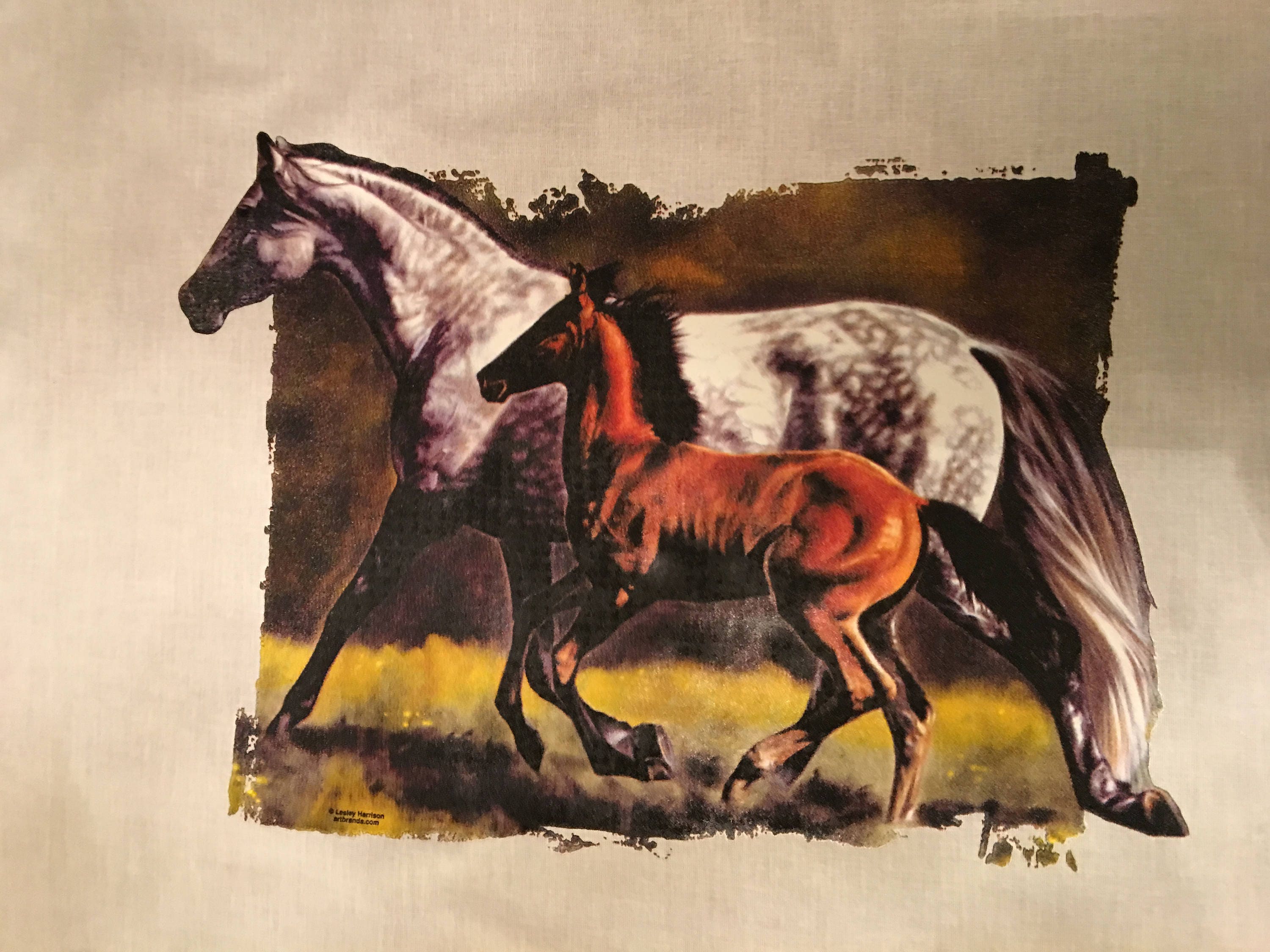 Horse T Shirt, Dapple Gray Mare & Bay Foal (sweatshirt, Hoodie ...