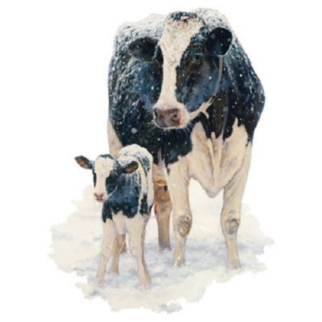 Cow & Calf T Shirt, Holstein Snow Cow Calf, sweatshirt, Hoodie ...