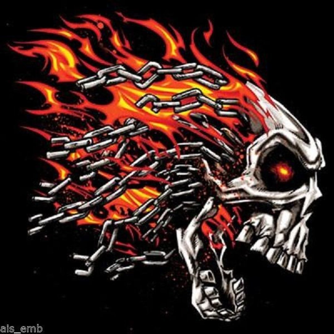 Skull Shirt, Flame & Chain Fire Skull, sweatshirt, Hoodie Available on ...
