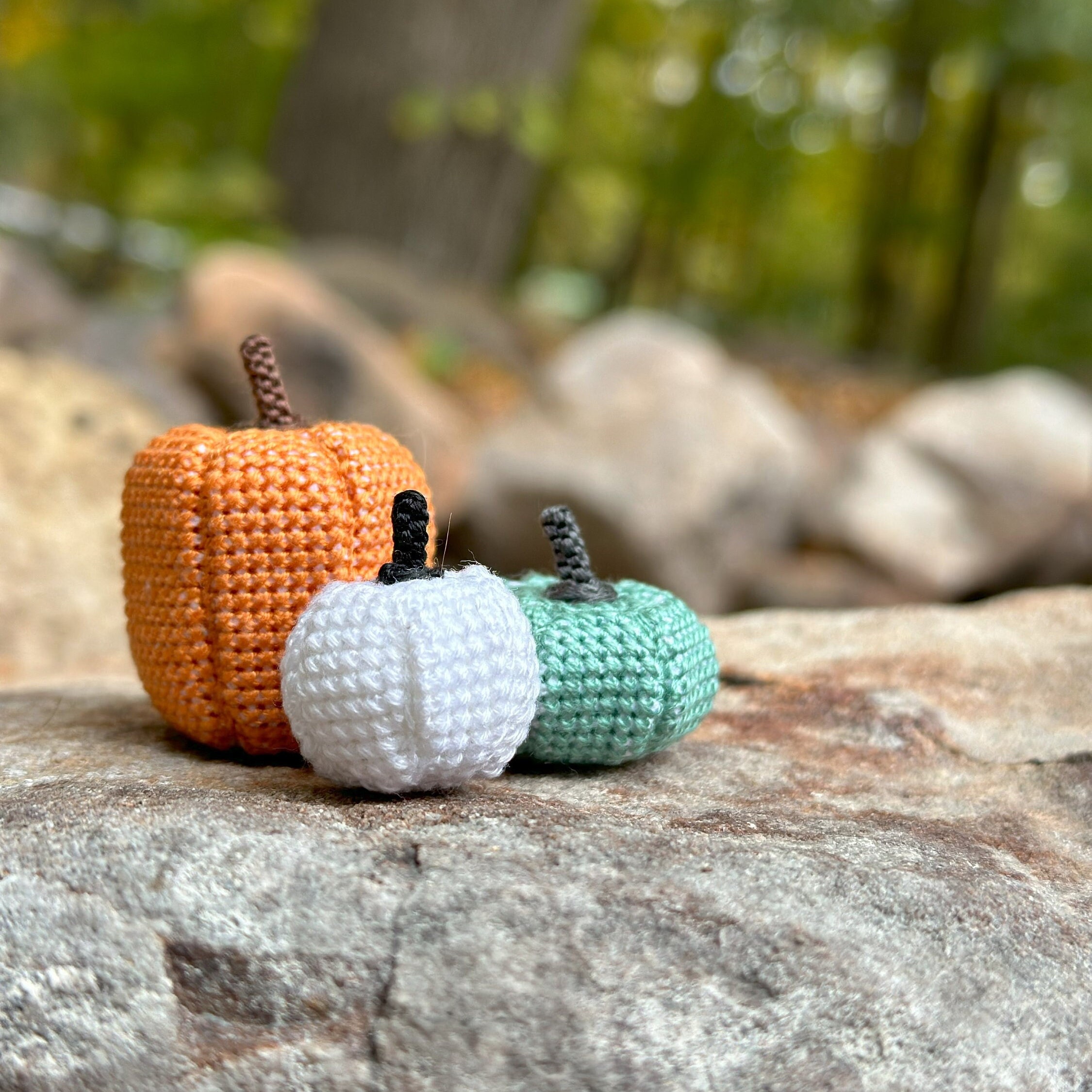 Gourd-geous Trio Instant Download Digital File Only. Mini Pumpkins 3D ...