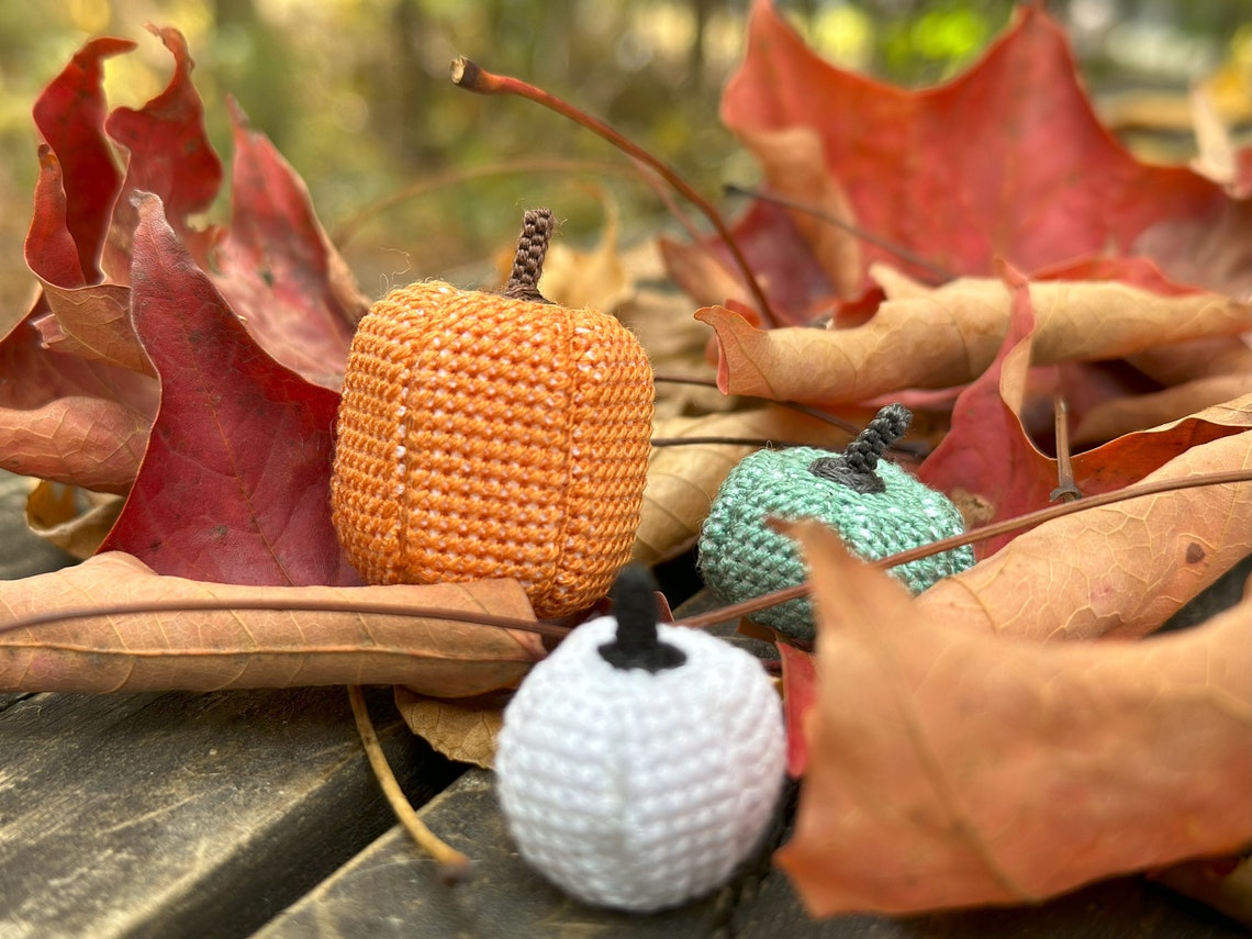 Gourd-geous Trio Instant Download Digital File Only. Mini Pumpkins 3D ...