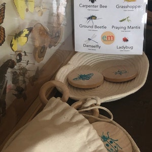 Wooden Matching Memory Game (insects) - Essential Montessori - Etsy