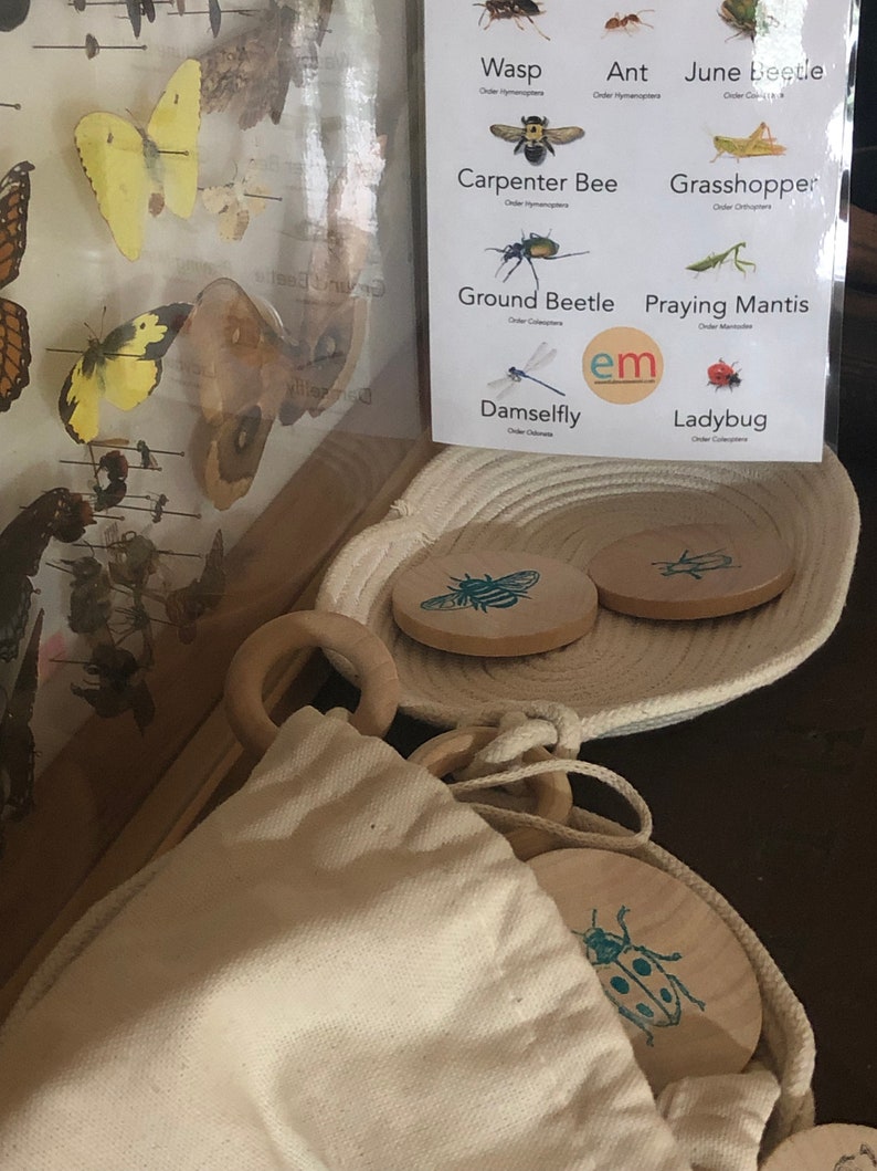 Wooden Matching Memory Game insects Essential Montessori - Etsy