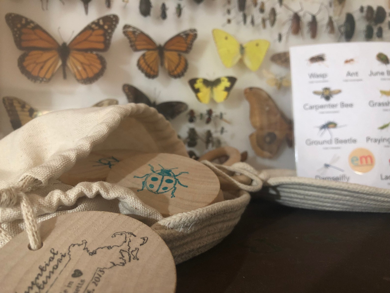 Wooden Matching Memory Game insects Essential Montessori - Etsy