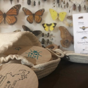 Wooden Matching Memory Game (insects) - Essential Montessori - Etsy