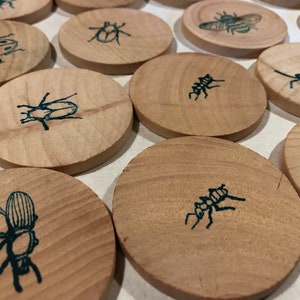 Wooden Matching Memory Game insects Essential Montessori - Etsy