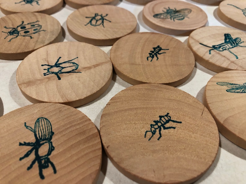Wooden Matching Memory Game insects Essential Montessori - Etsy